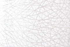 NxtWall Special/Designer Wall Finishes - 3form